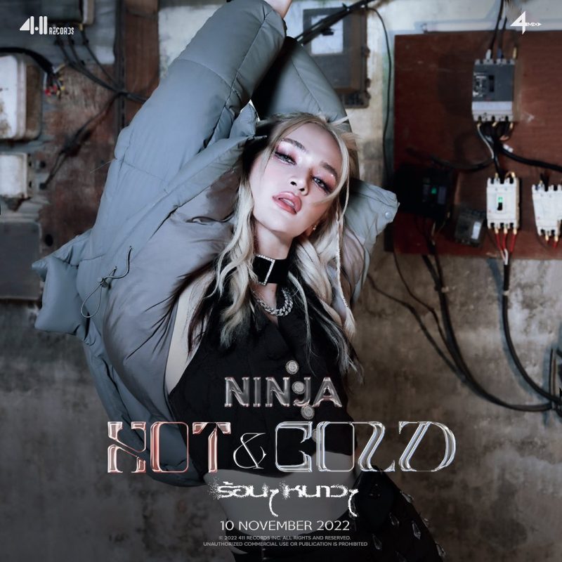 Thông tin tiểu sử Hồ sơ và sự kiện Ninja (4MIX)